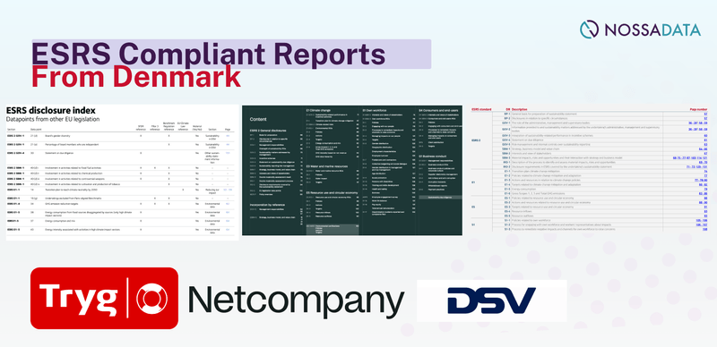 The First ESRS Compliant Reports: Examples from Denmark - ESG Simplified